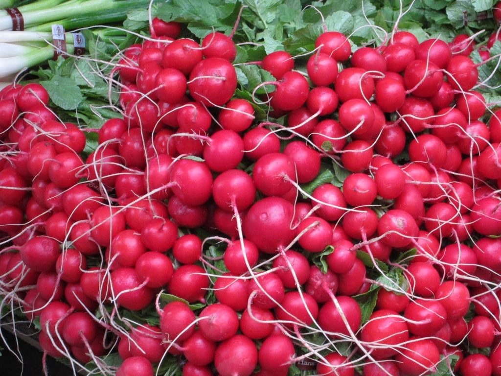 Rabanete: O que é, Para que Serve, Benefícios e Malefícios!