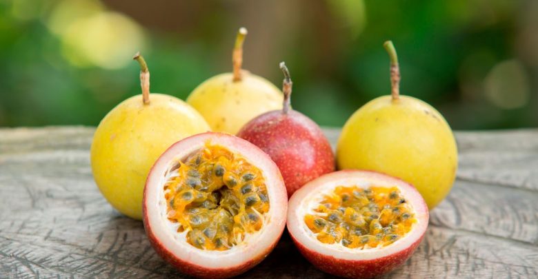 Maracujá → O que é, Para que Serve, Benefícios e Malefícios!