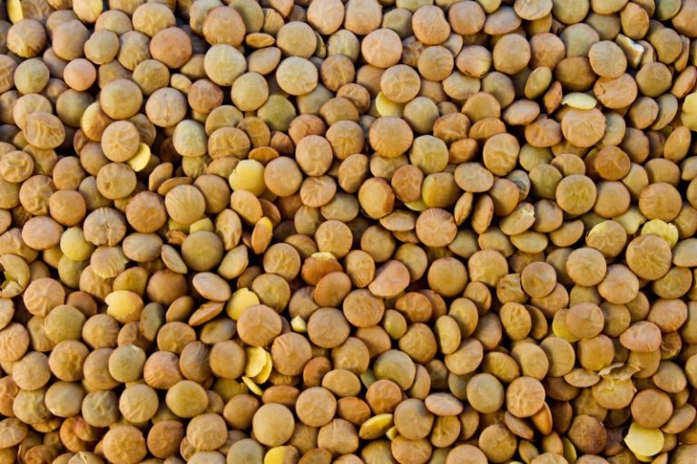 Lentilha: 11 Benefícios, Informação Nutricional, Receitas e Malefícios ...