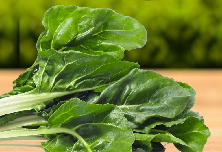 Acelga: 9 Benefícios, Informação Nutricional, Receitas e Malefícios ...