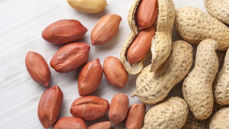 Amendoim: O que é, Para que Serve, Benefícios e Malefícios!