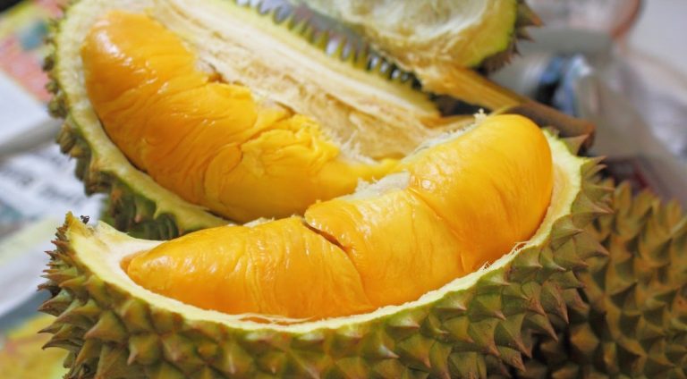 Durian: 10 benefícios, informação nutricional, receitas e malefícios!