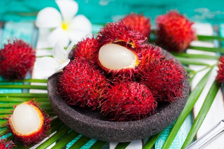 Como Plantar Rambutan: Plantio, Cultivo e Colheita!