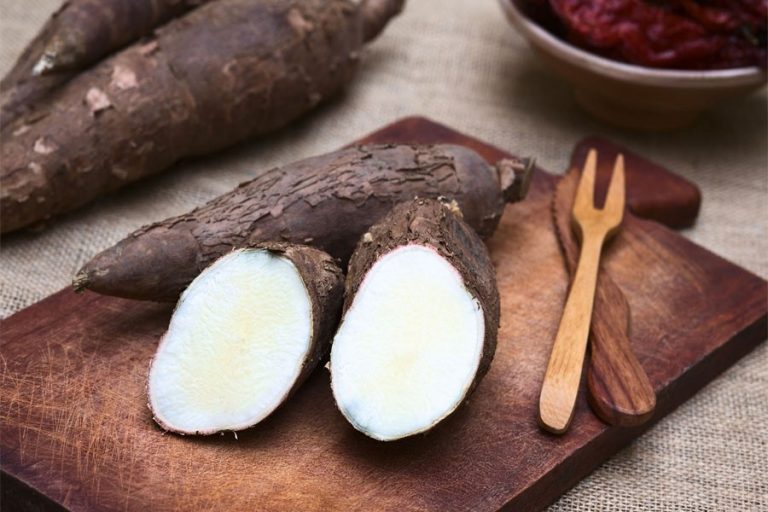 Como Plantar Aipim | Horta em Casa!